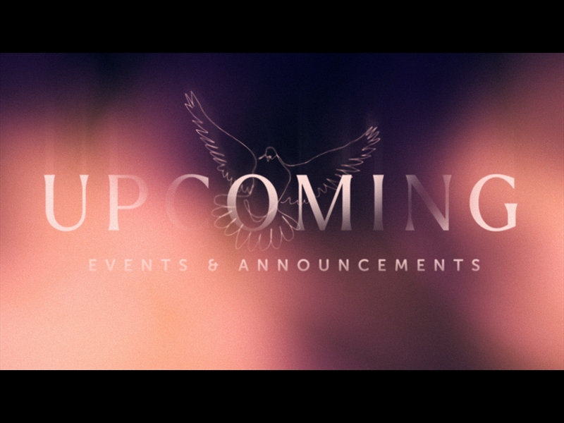 Soaring Collection | Timber & Pearl | WorshipHouse Media