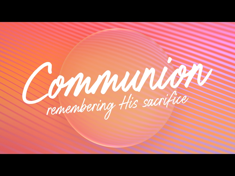 Summer Rays Collection | Timber & Pearl | WorshipHouse Media