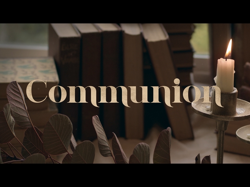 The Story Of Advent Collection | Timber & Pearl | WorshipHouse Media