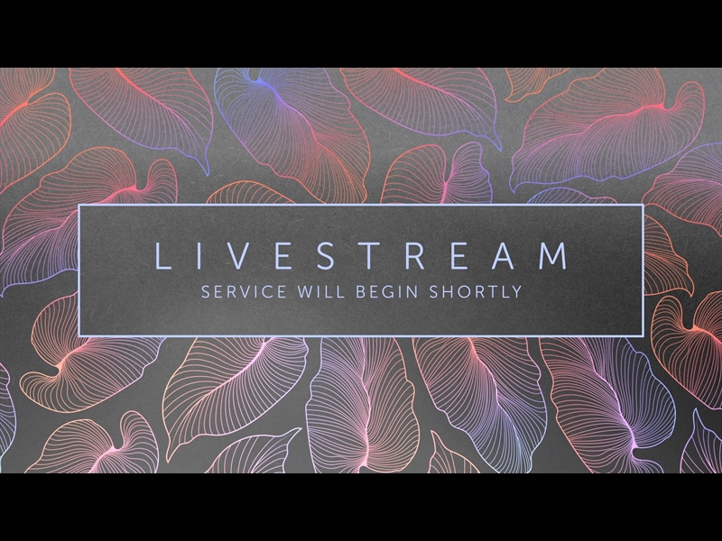 Tropical Night Livestream | Timber & Pearl | WorshipHouse Media