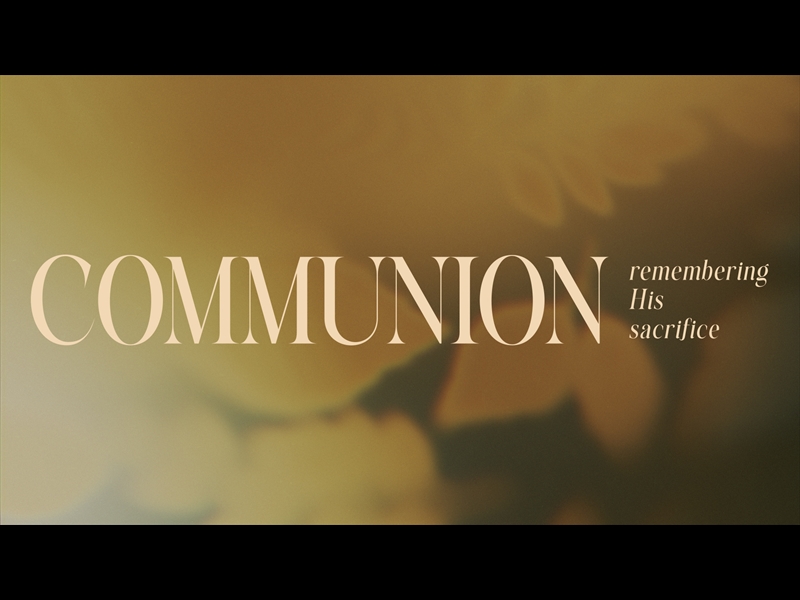 Velvet Fall Communion | Timber & Pearl | WorshipHouse Media