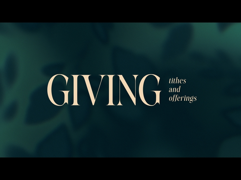 Velvet Fall Giving | Timber & Pearl | WorshipHouse Media