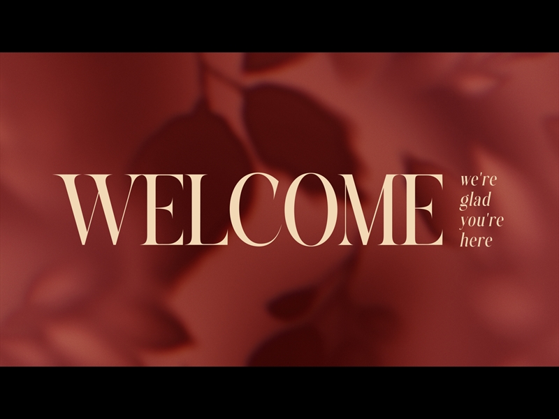 Velvet Fall Welcome | Timber & Pearl | WorshipHouse Media