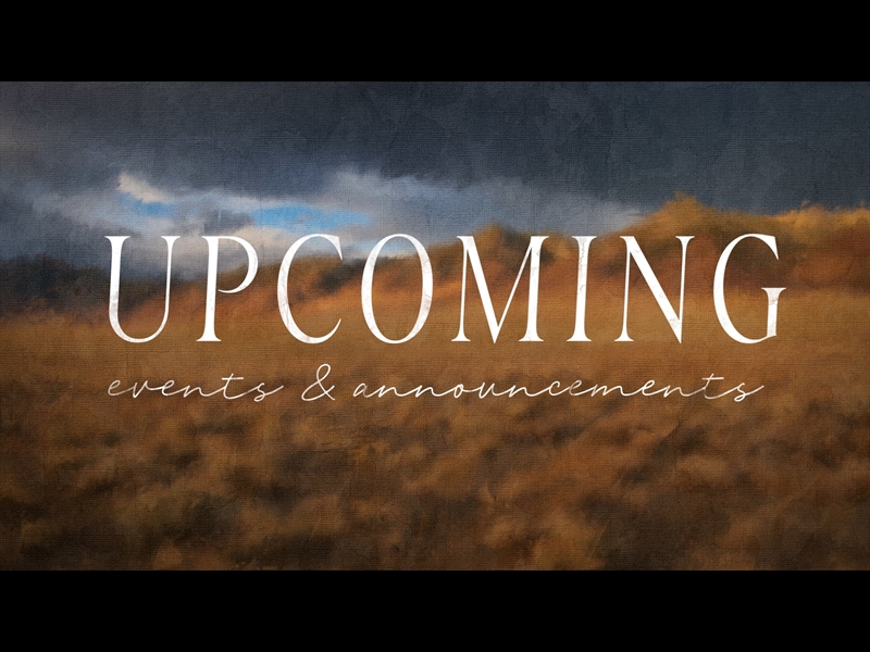 Your Kingdom Collection | Timber & Pearl | WorshipHouse Media