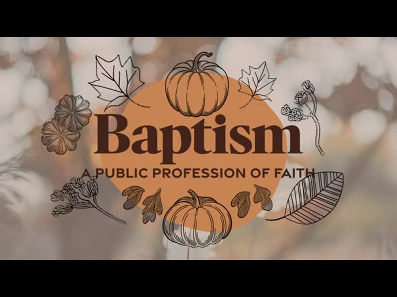 Line Art Autumn Baptism | Ted Villa | WorshipHouse Media