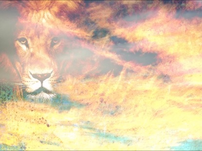 Lion Worship Motion | Videos2Worship | WorshipHouse Media