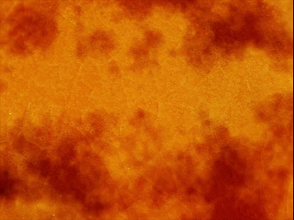 Orange Worship Backgrounds