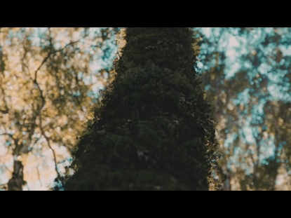 Rainforest 06 | Visual Media Church | WorshipHouse Media