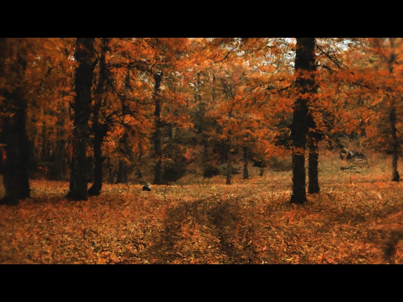 Autumn Vibes 2 | Shift Worship | Playback Media Store