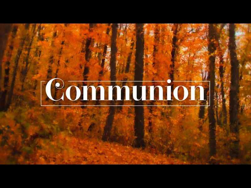 Autumn Vibes Communion | Shift Worship | Playback Media Store