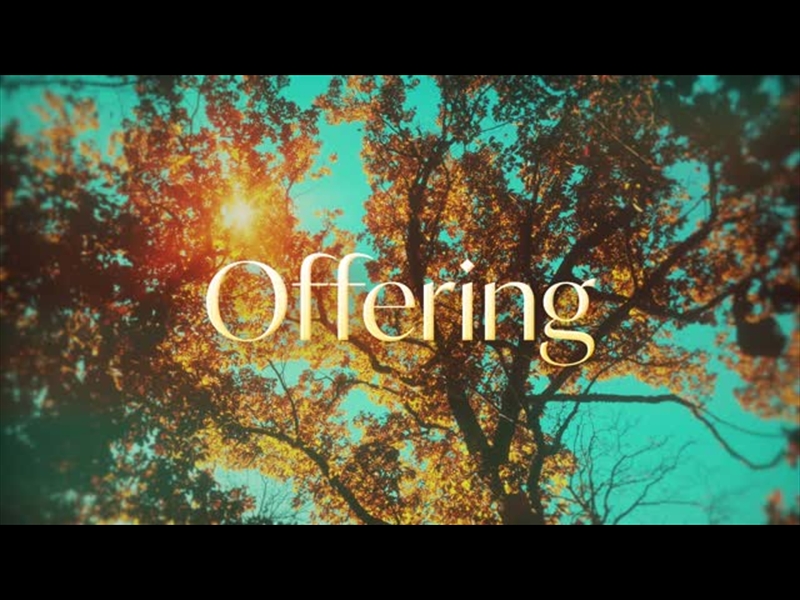 Autumn Canopies Offering | Shift Worship | WorshipHouse Media