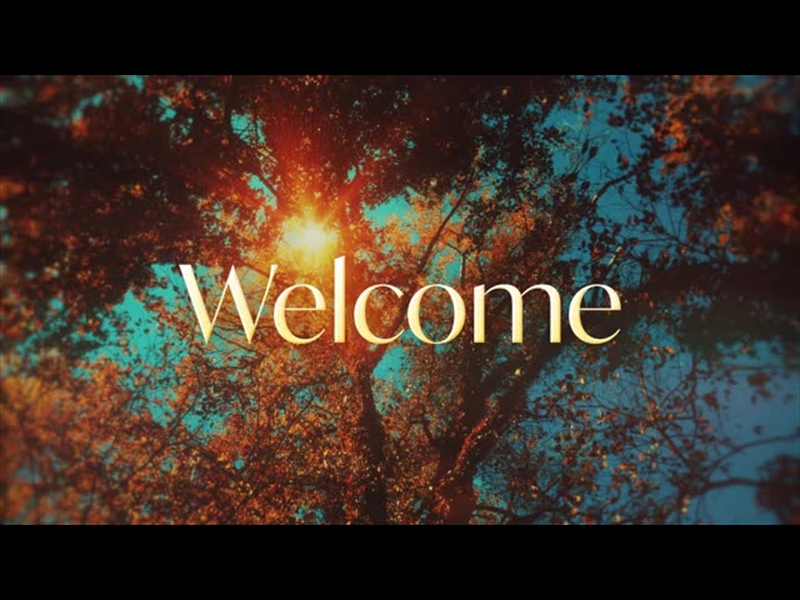 Autumn Canopies Welcome | Shift Worship | WorshipHouse Media