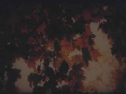 Autumn Fire Coals Subdued | Shift Worship | Playback Media Store