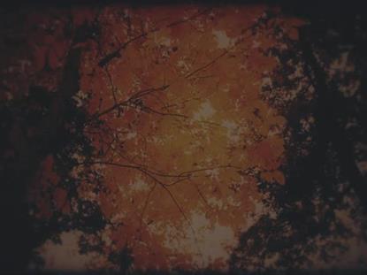 Autumn Fire Embers Subdued | Shift Worship | WorshipHouse Media