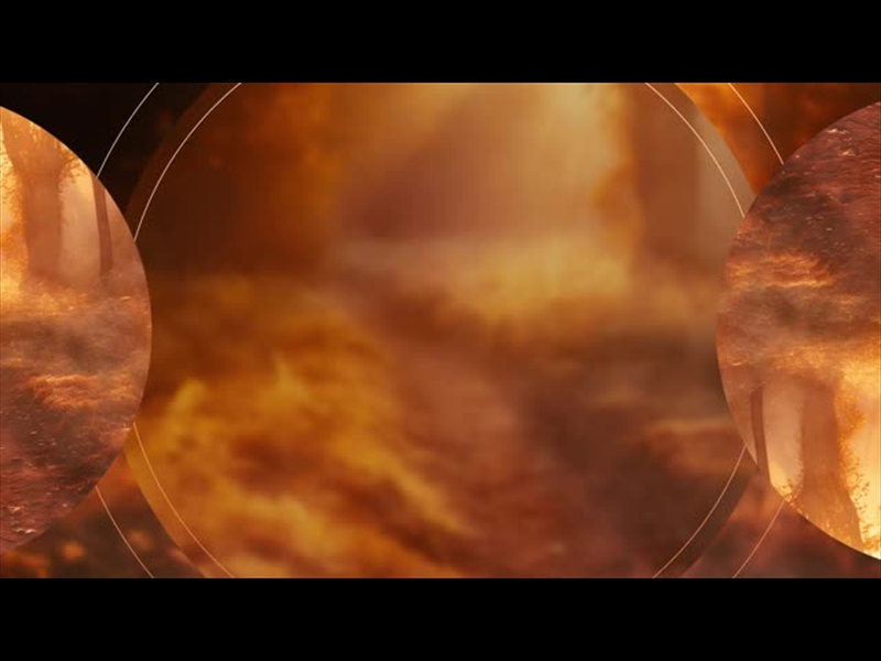 Autumn Path Collection | Shift Worship | Playback Media Store