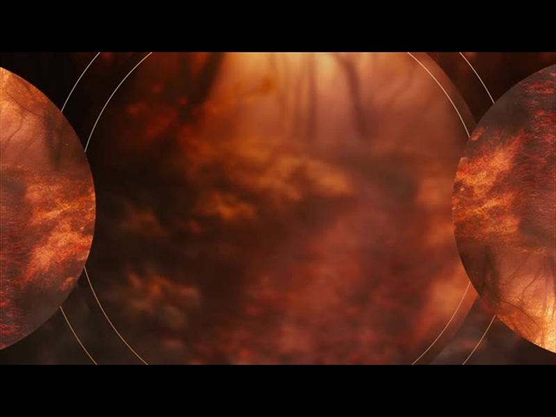 Autumn Path Collection | Shift Worship | Playback Media Store