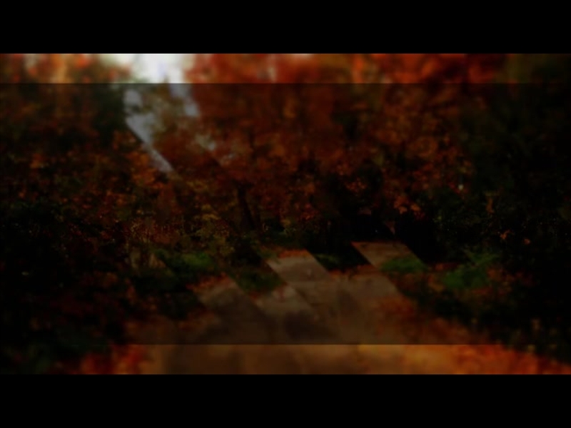 Autumns End 10 Alt | Shift Worship | Playback Media Store