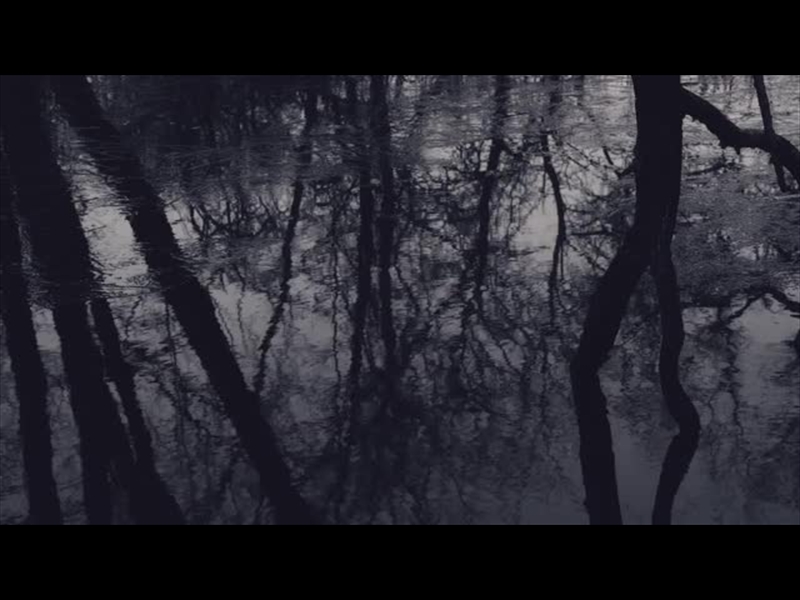 Bleak Beauty Dark | Shift Worship | Playback Media Store