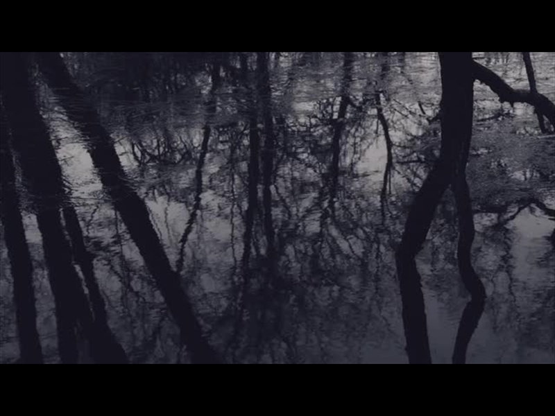 Bleak Beauty Collection | Shift Worship | WorshipHouse Media