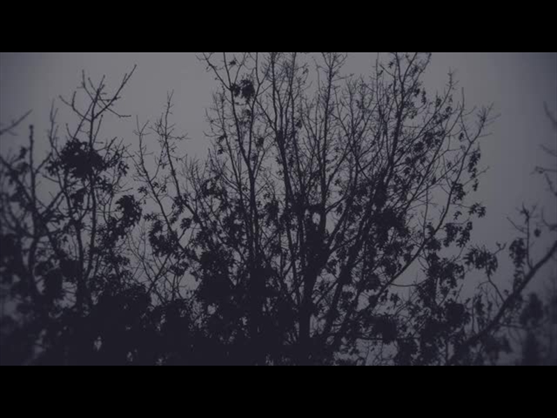 Page 14 | Trending Worship Backgrounds & Loops for Church ...