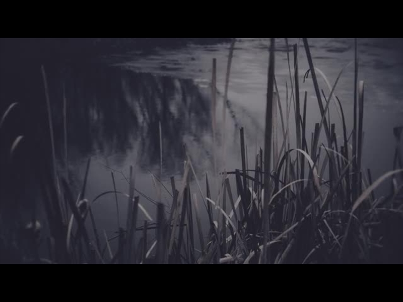 Bleak Beauty Water Edge | Shift Worship | Playback Media Store