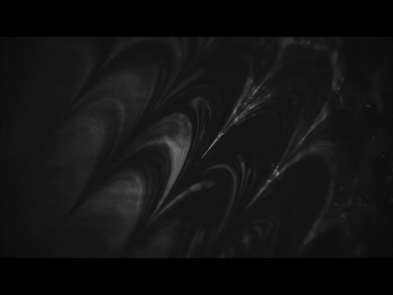 Dark Distortion Collection | Shift Worship | Playback Media Store