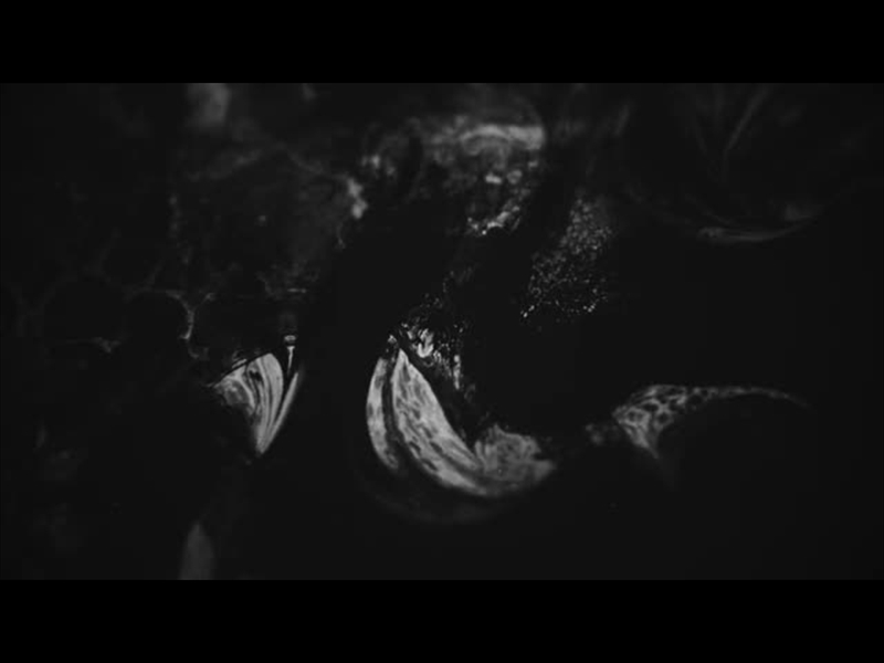 Dark Distortion Collection | Shift Worship | Playback Media Store