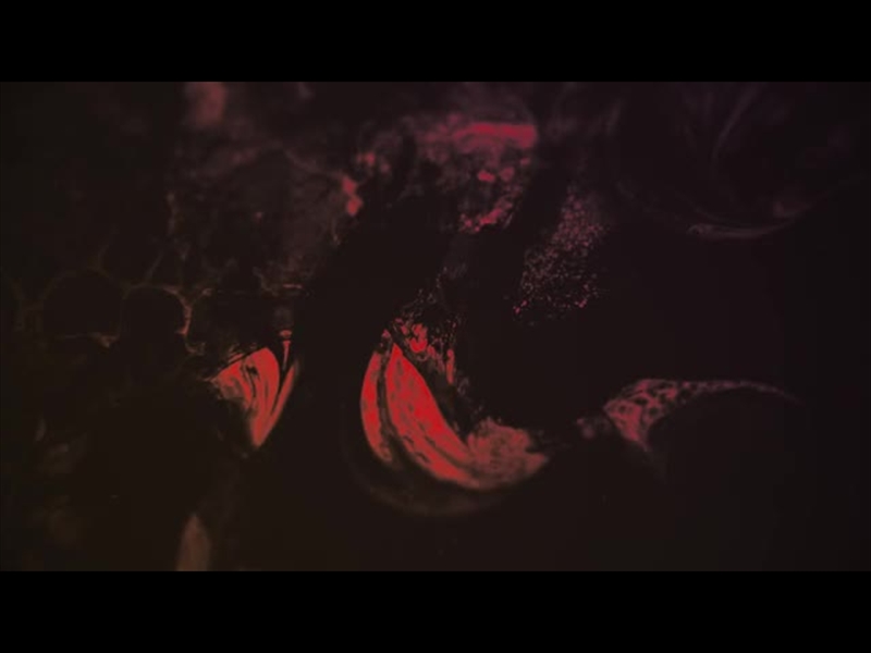 Dark Distortion 3 Color | Shift Worship | WorshipHouse Media