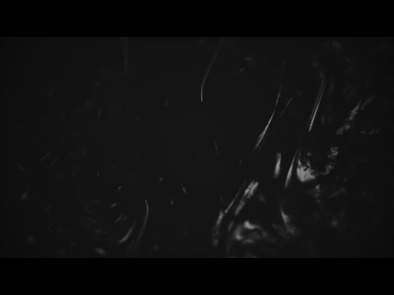 Dark Distortion Collection | Shift Worship | Playback Media Store