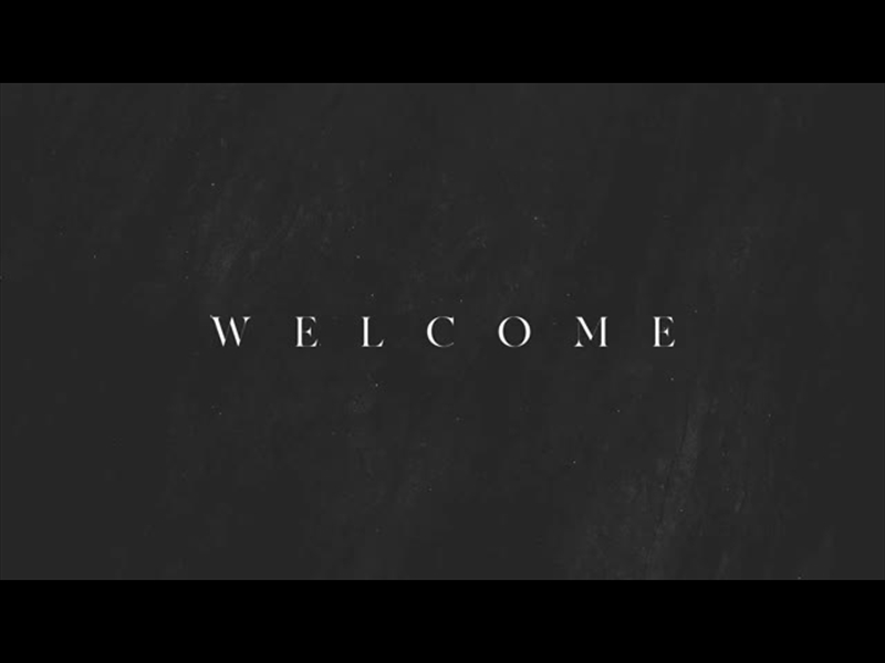 Search | Playback Media Store