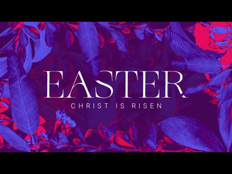 Easter Neon Title | Shift Worship | Playback Media Store