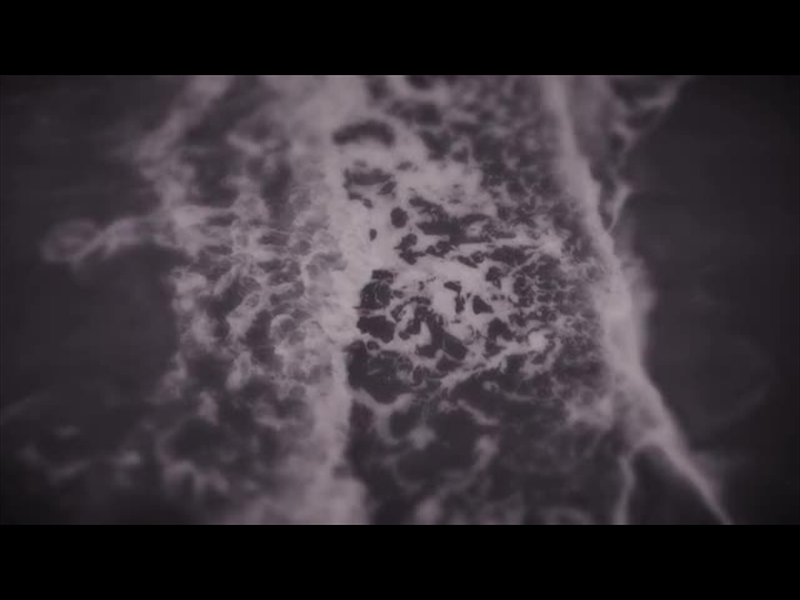 Endless Horizon 9 Mood | Shift Worship | WorshipHouse Media