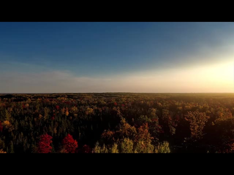 Fall Foliage 01 | Shift Worship | Playback Media Store