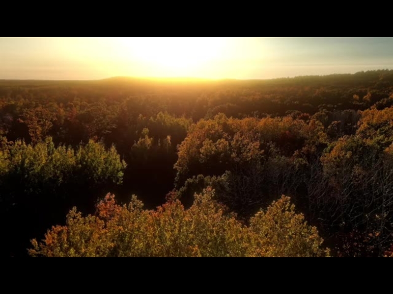 Fall Foliage 04 | Shift Worship | WorshipHouse Media