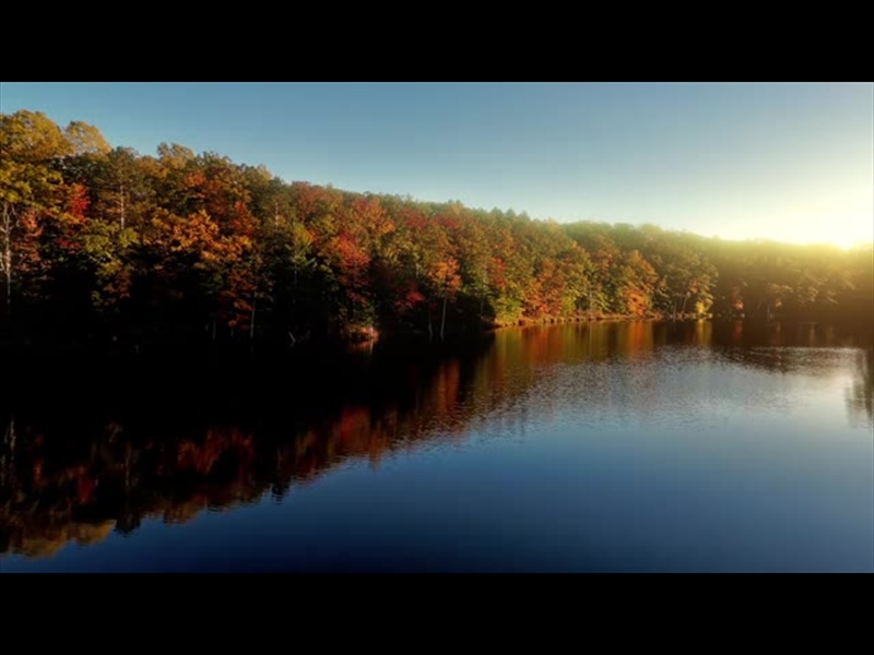 Fall Foliage 05 | Shift Worship | WorshipHouse Media
