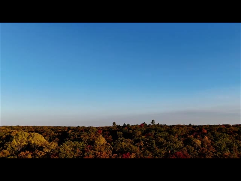 Fall Foliage 07 | Shift Worship | Playback Media Store