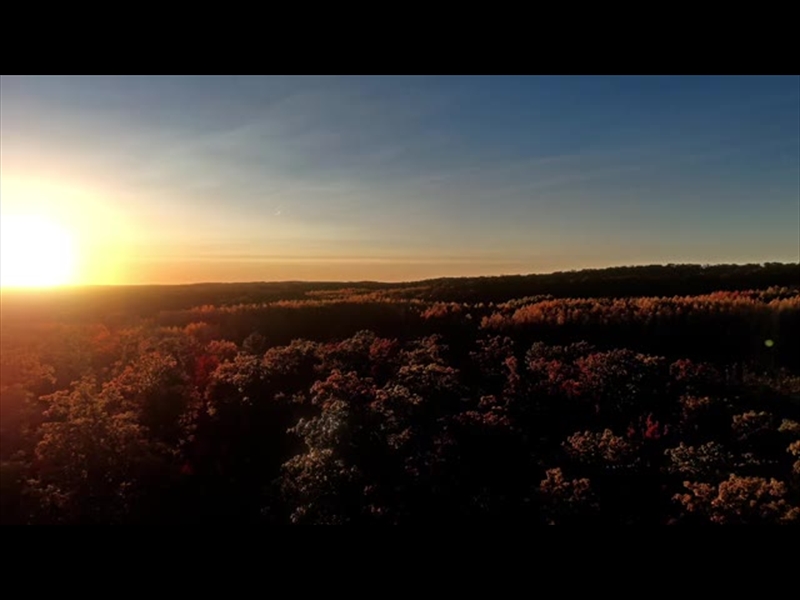 Fall Foliage 11 | Shift Worship | WorshipHouse Media