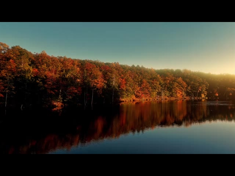 Fall Foliage Collection | Shift Worship | Playback Media Store