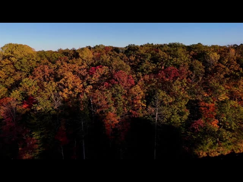 Fall Foliage 14 | Shift Worship | WorshipHouse Media