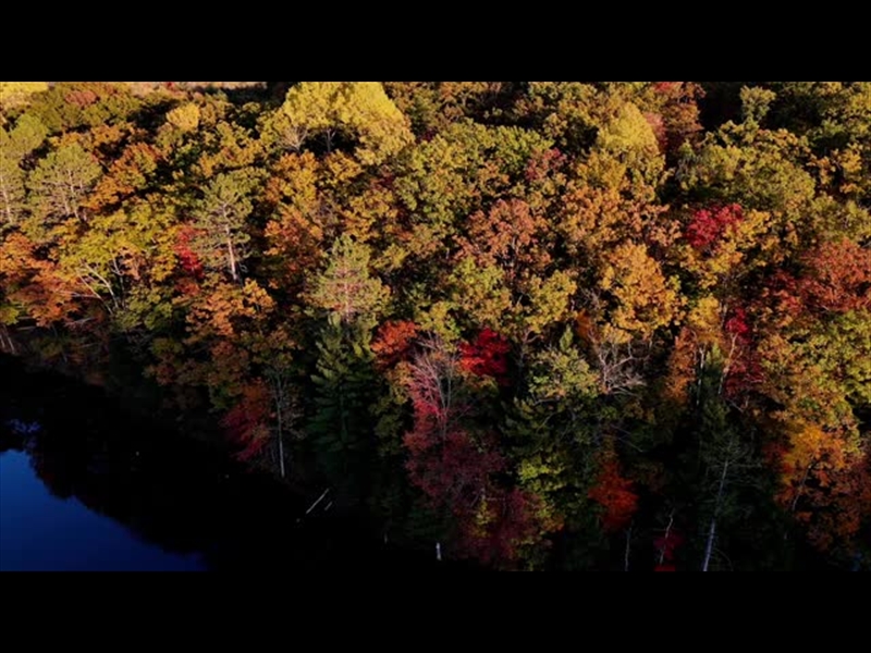 Fall Foliage 15 | Shift Worship | Playback Media Store