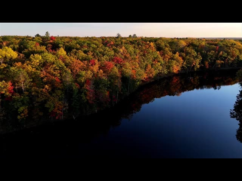 Fall Foliage Collection | Shift Worship | WorshipHouse Media