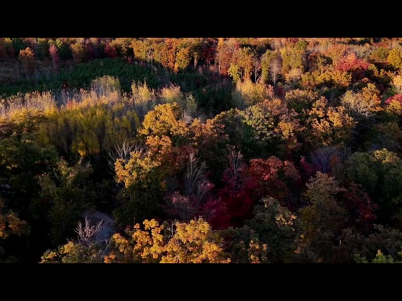 Fall Foliage 17 | Shift Worship | WorshipHouse Media