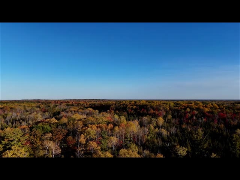 Fall Foliage Collection | Shift Worship | WorshipHouse Media