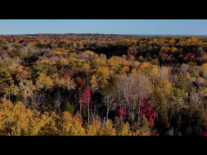 Fall Foliage 23 | Shift Worship | WorshipHouse Media