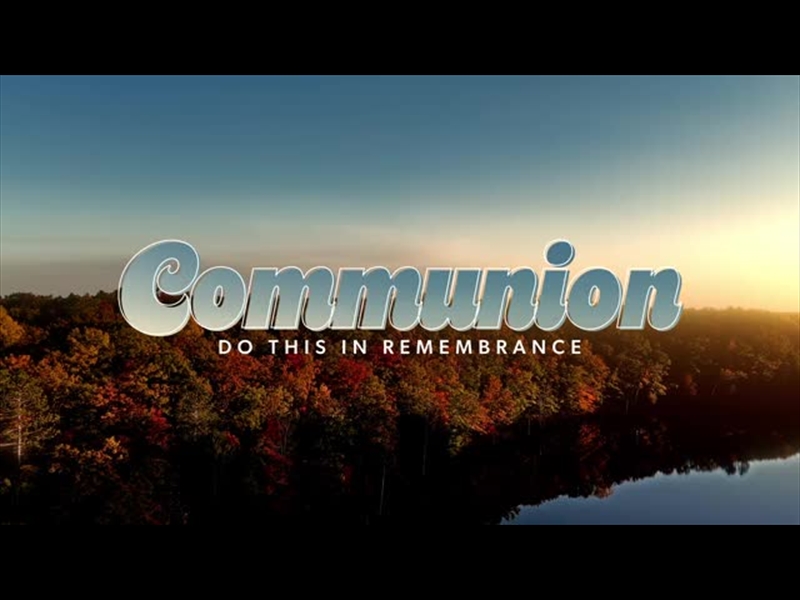 Fall Foliage Collection | Shift Worship | WorshipHouse Media