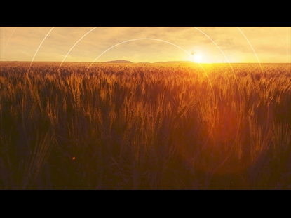 Golden Hour Sunset Radial | Shift Worship | WorshipHouse Media