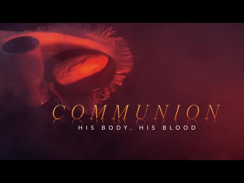 Easter Seasonal Store | Playback Media Store