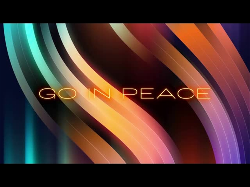 Search | Playback Media Store