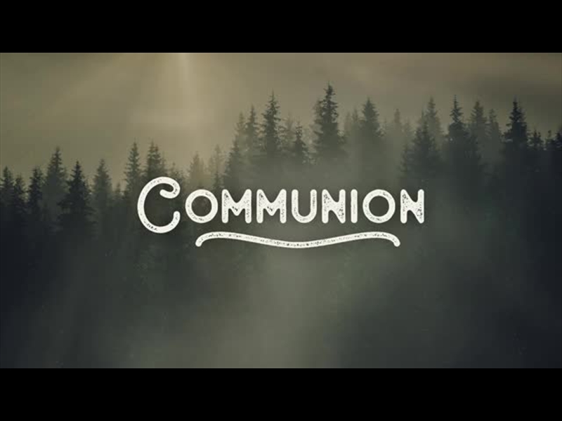 Lumberjack Dad Collection | Shift Worship | Playback Media Store