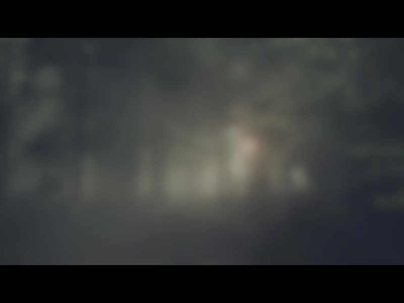 Lumberjack Dad Collection | Shift Worship | Playback Media Store